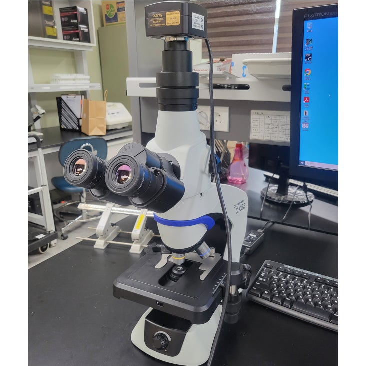 올림푸스 CX33 & KCS3-50 광학 현미경 및 카메라 세트 ( OLYMPUS CX33 광학 현미경 / 슬라이드 글라스 관찰 ...