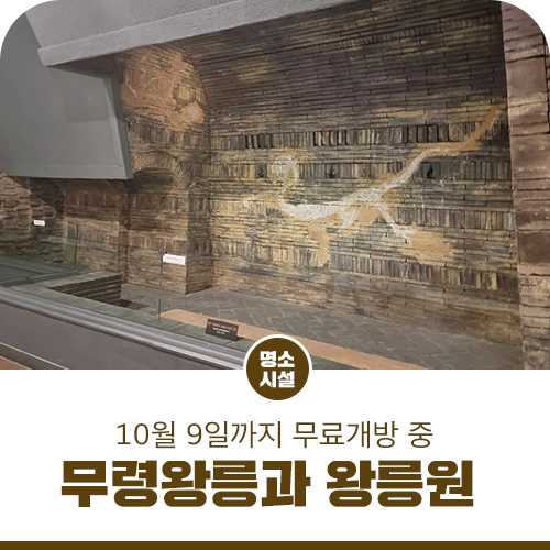 공주 가볼 만한 곳 무령왕릉과 왕릉원은 지금 무료개방 중~109 네이버 블로그