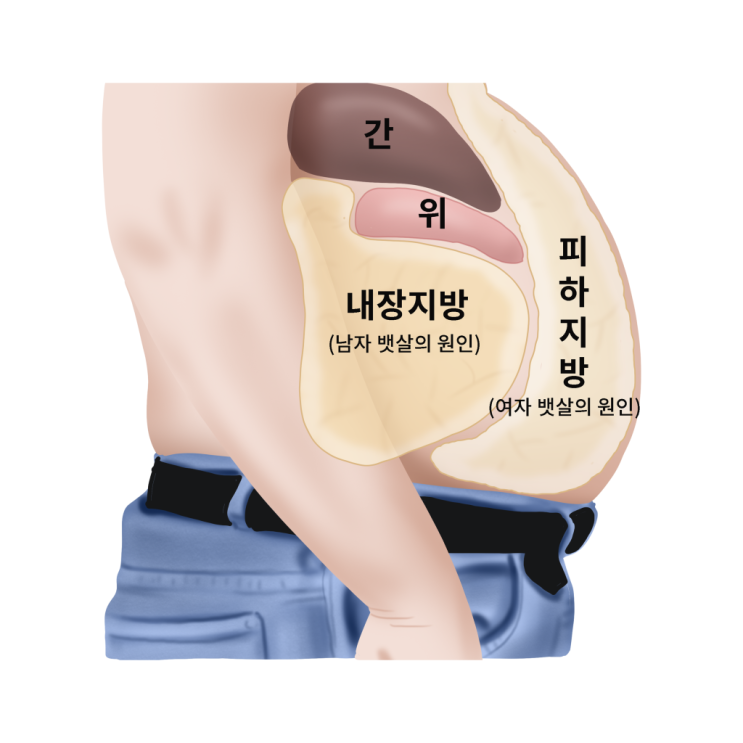 강동 크로스핏/ 내장지방, 절대 다이어트 못합니다. : 네이버 블로그