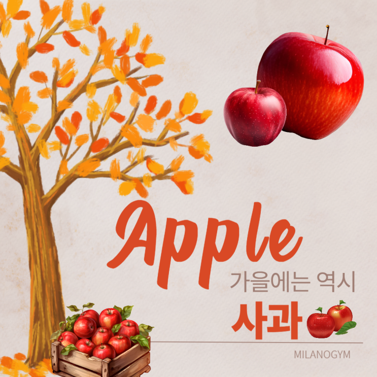 야탑pt 밀라노짐과 함께 알아보는 가을의 대표 과일 사과 네이버 블로그