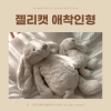 신생아 아기 국민 애착인형 시기 젤리캣 토끼 버니 크림 세탁 사이즈 비교 추천 후기 네이버 블로그