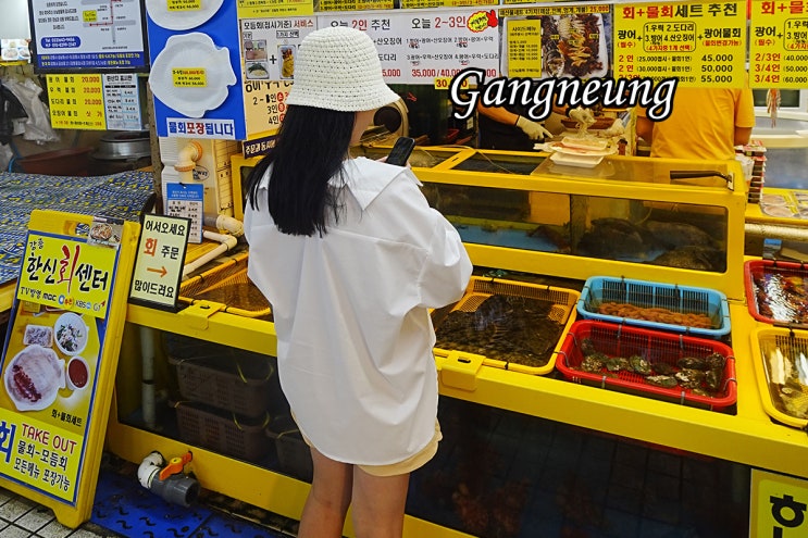 강릉중앙시장횟집 한신회센터 도톰한 횟감과 물회 포장해옴 네이버 블로그