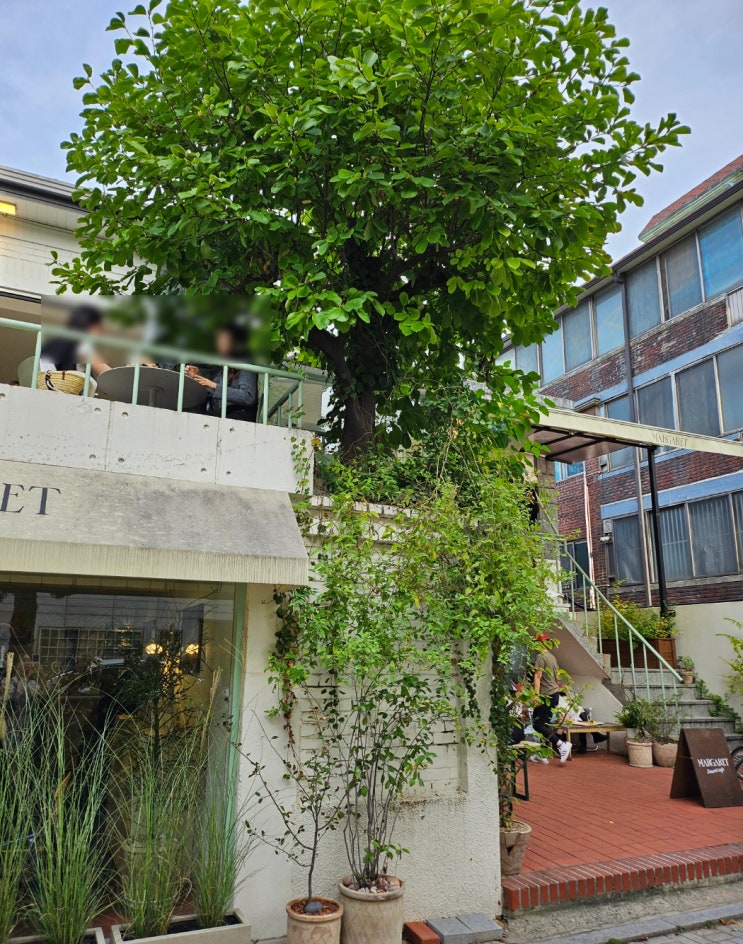 [연남, 홍대] 감성이 넘치는 테라스 카페 마가렛 : 네이버 블로그