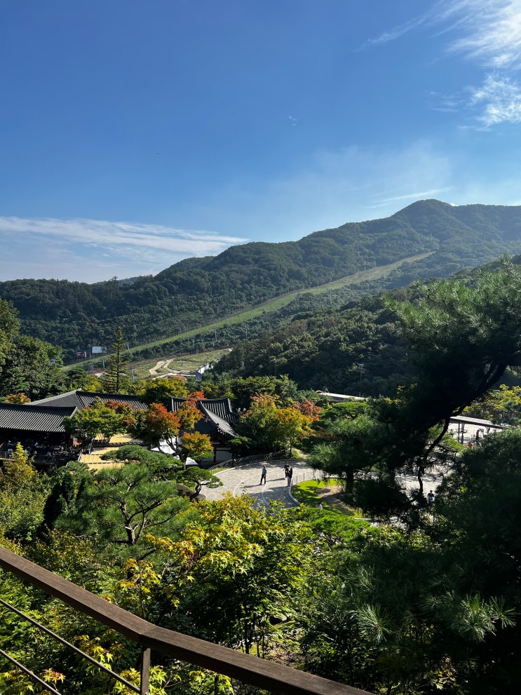 경기도광주 나들이 추천 곤지암 화담숲 가을단풍명소 입장권 예약 광주시 할인 네이버 블로그