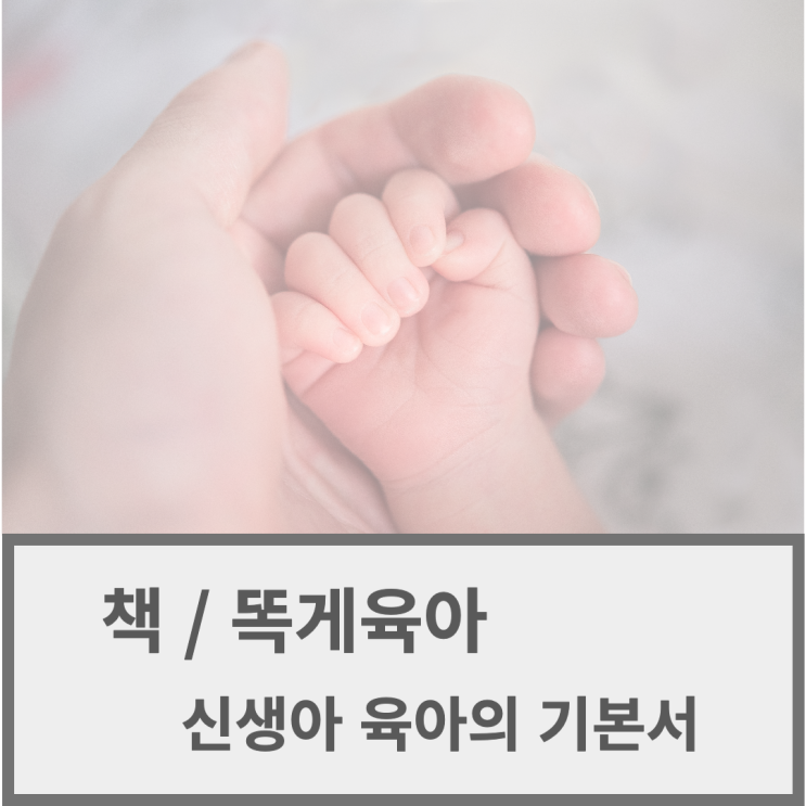 책 똑게육아 똑게 시리즈 육아 지침서 로리김준희 네이버 블로그