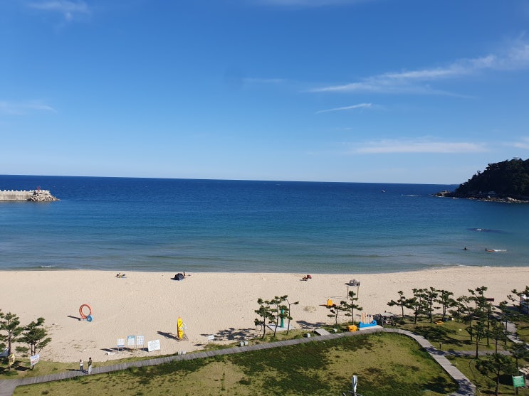서핑천국 죽도인구 양리단길 도보10분 E7양양죽도523호 네이버 블로그