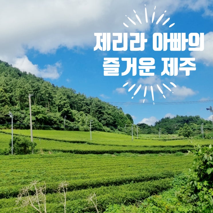 아이들과 함께 사진 찍기 좋은 제주 오설록 티 뮤지엄 네이버 블로그