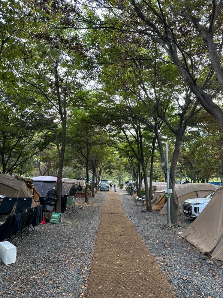 울산 근교 캠핑장 추천 경북 청도 배너미오토캠핑장 현대자동차 하계휴양소 네이버 블로그