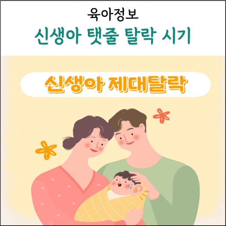 신생아 제대탈락 시기 배꼽 떨어지는 시기 배꼽 소독언제까지 네이버 블로그