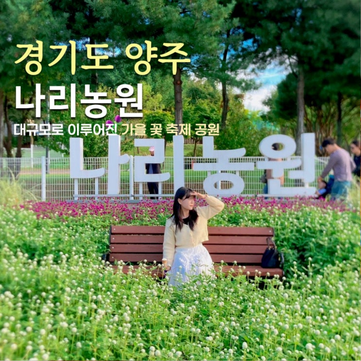 양주 나리농원 핑크뮬리팜파스 나리공원 주차입장권 네이버 블로그