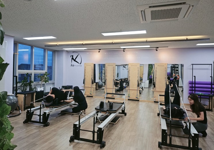 배곧 필라테스 물리치료사 재활필라테스강사님께 배우는 11 개인레슨 네이버 블로그