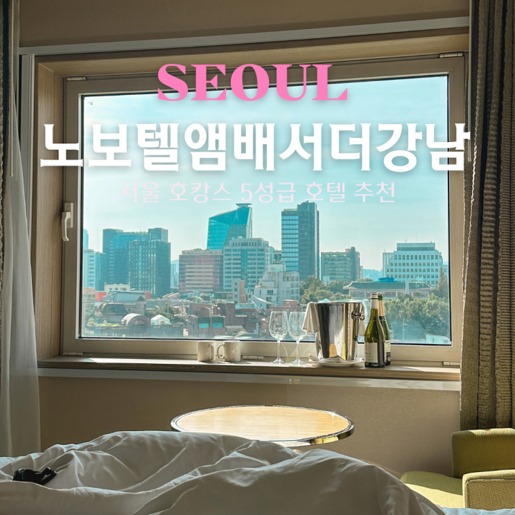 노보텔 앰배서더 강남 서울 호캉스 호텔 패키지 추천 수영장 조식 후기 네이버 블로그