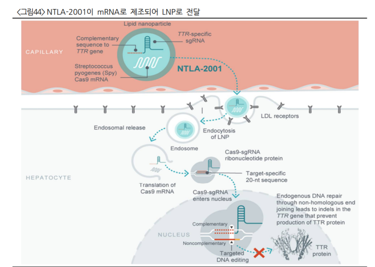 [유전자 치료제] (3) CRISPR/Cas9의 기술 트렌드, 주요 player와 3.5세대 유전자 가위 (feat.툴젠 ...
