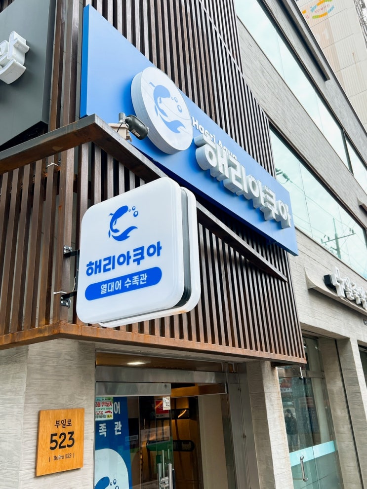[수족관탐방] 경기도 부천 - 해리아쿠아. : 네이버 블로그