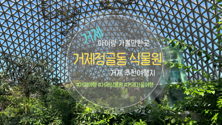 거제 식물원 거제정글돔 10 11월 가을여행 거제 가족여행 아이와 가볼만한곳 거제 실내데이트 추천 네이버 블로그