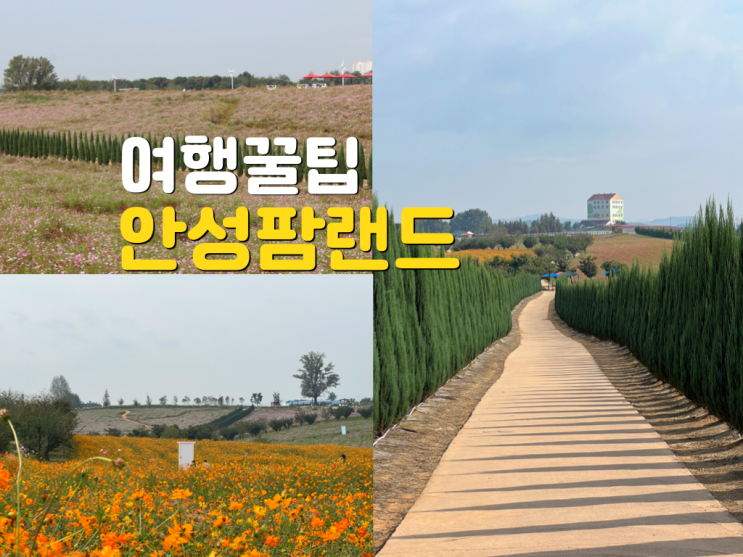 여행꿀팁 : 안성팜랜드 총정리, 입장권 가격 할인방법 티켓발권 지도 꽃밭위치 관람시간 체험활동 전동자전거 셔틀버스 주차장 ...