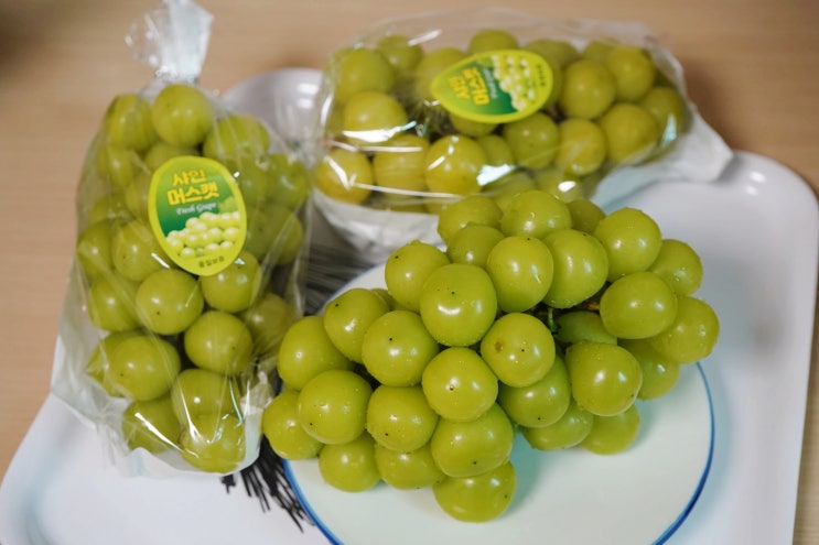 백화점급 샤인머스켓 달콤이네과일 농장직송 샤인머스켓 : 네이버 블로그