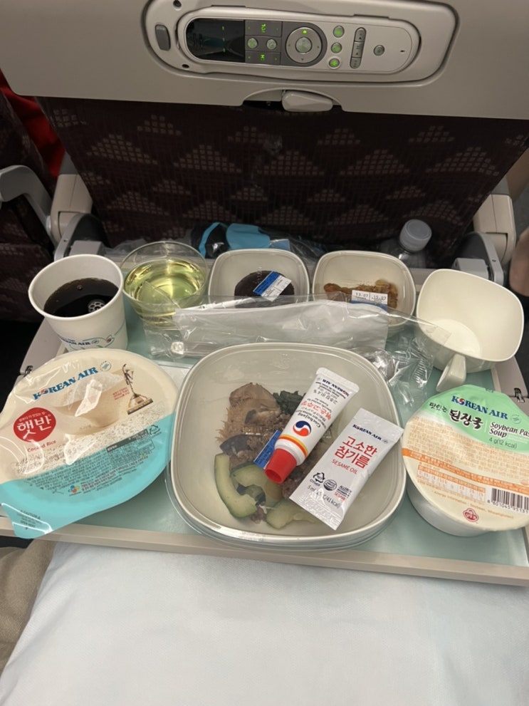 대한항공 KE902 기내식 파리 인천행, 파리 RER B 타고 샤를드골 공항 가기 : 네이버 블로그