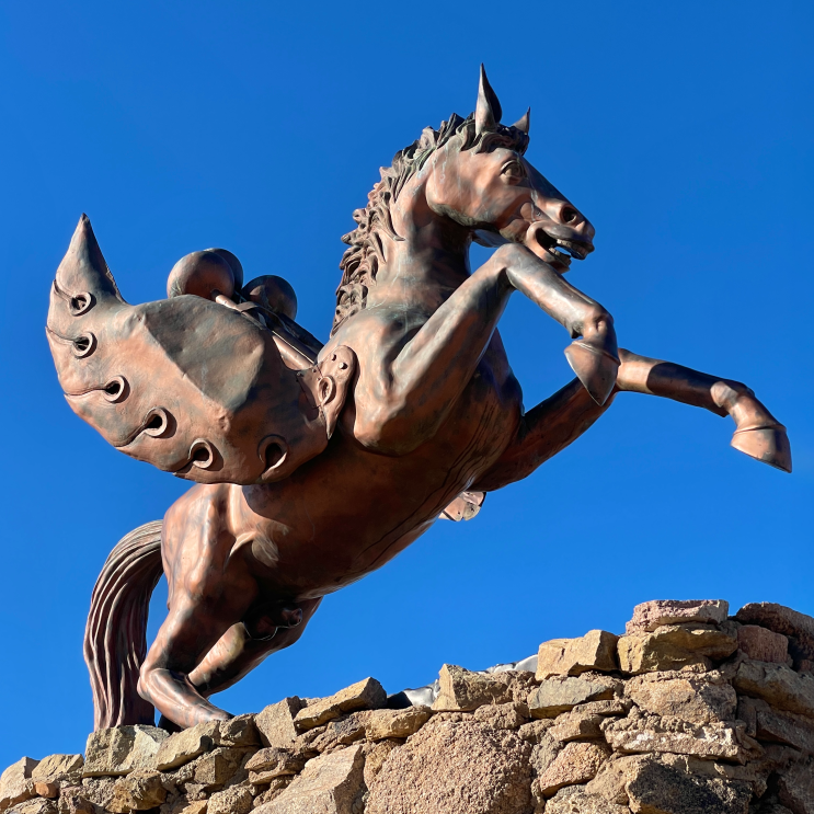 몽골여행 🦄 만달고비 Mandalgovi : 네이버 블로그