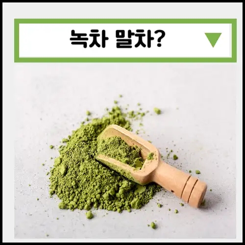 말차 녹차 차이 같은 것일까요 한 번에 알아보기 네이버 블로그