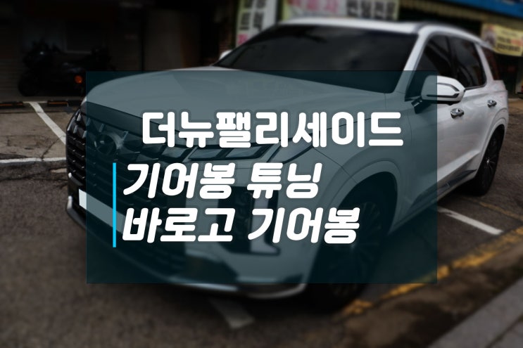 더뉴팰리세이드 불편한 버튼식기어 바로고기어봉 전자식기어 튜닝하기 네이버 블로그