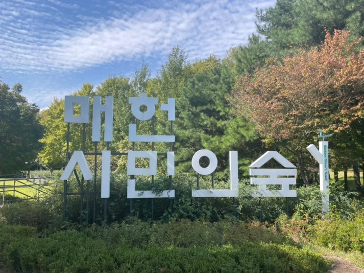 서울 나들이 가볼 만한 곳 양재시민의 숲역 산책 추천 매헌시민의 숲 네이버 블로그