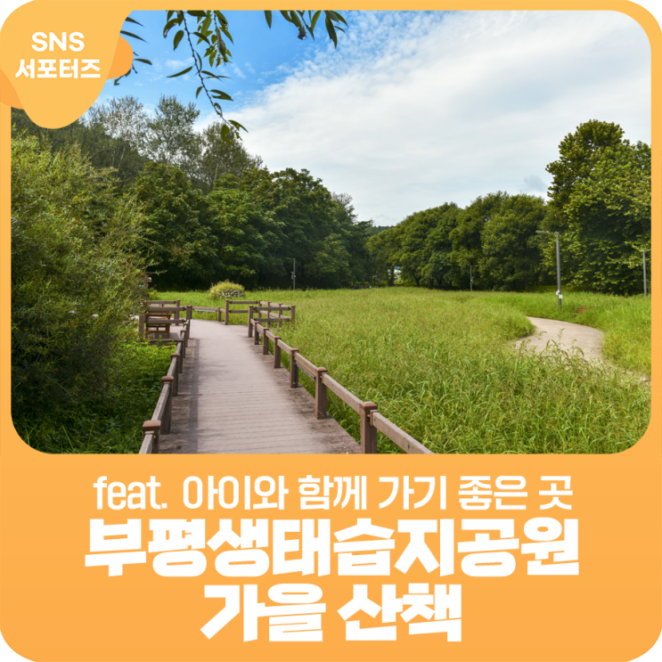 남양주시 부평생태습지공원 가을 산책 Feat 아이와 함께 가기 좋은 곳 네이버 블로그