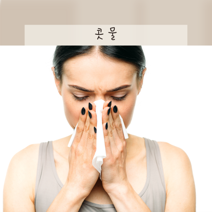 맑은콧물 노란콧물 원인 감기 코로나 비염 재채기 항생제 약 올바른 대처는 네이버 블로그