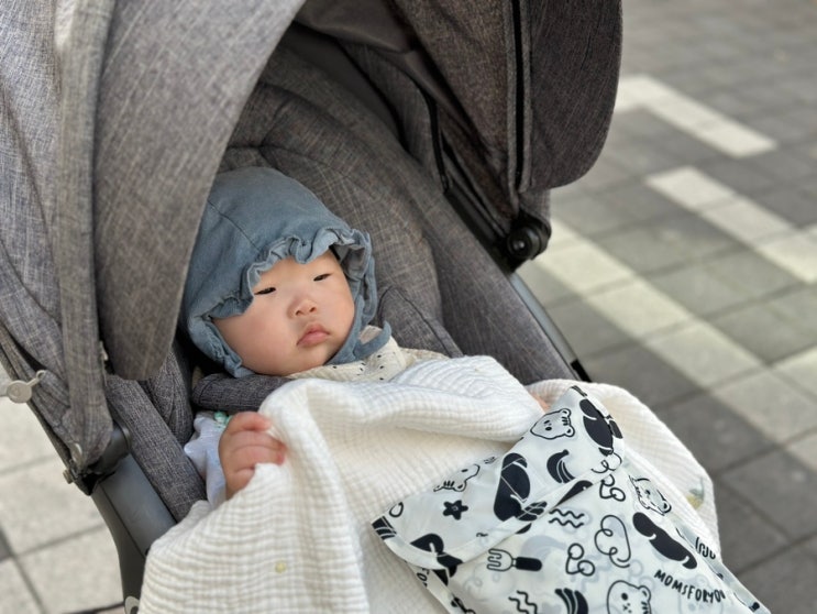 출산육아템 : 유모차 카시트 깨끗하게 관리하기 - M4U 맘스포유 유모차 카시트 생활용품 보호덮개 : 네이버 블로그