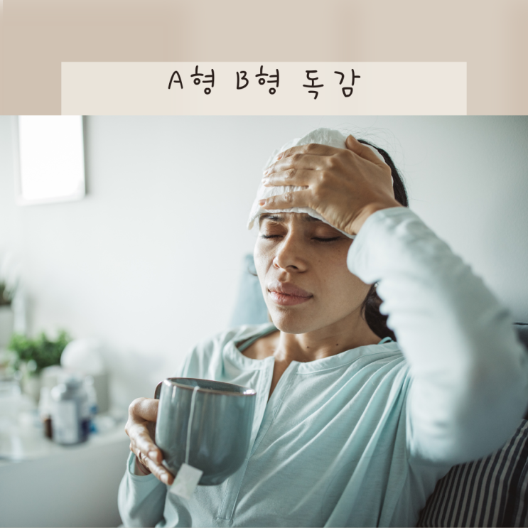 A형 독감 B형 증상 검사 인플루엔자 확진 격리 의무 기간 학교 회사 타미플루 페라미플루 수액 비용 알아보자 네이버 블로그