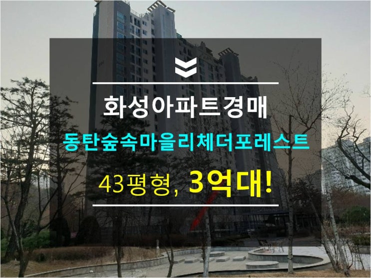 경기 남부 아파트경매 화성 능동 인동선예정 동탄숲속마을 능동역 리체 더 포레스트 43평 3억대경매 2023타경54596