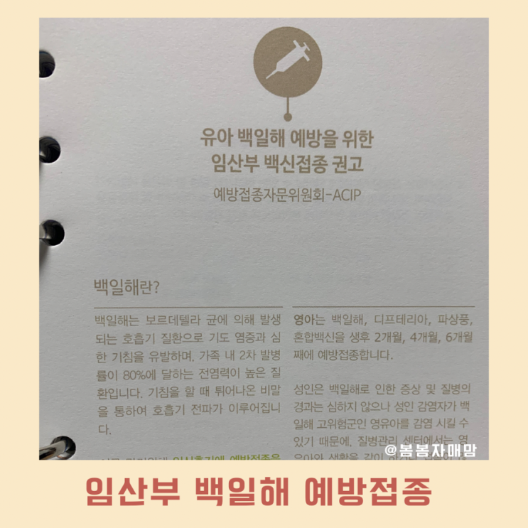 임산부 백일해 예방 접종 시기 가격 부작용 가족 남편 보건소 백일해 주사 네이버 블로그