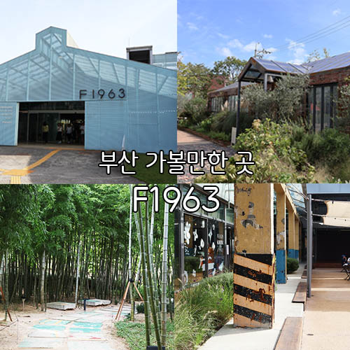 부산 가볼만한 곳 F1963 복합 문화 공간 (현대모터스튜디오 / 국제갤러리 / 테라로사 / YES24) : 네이버 블로그