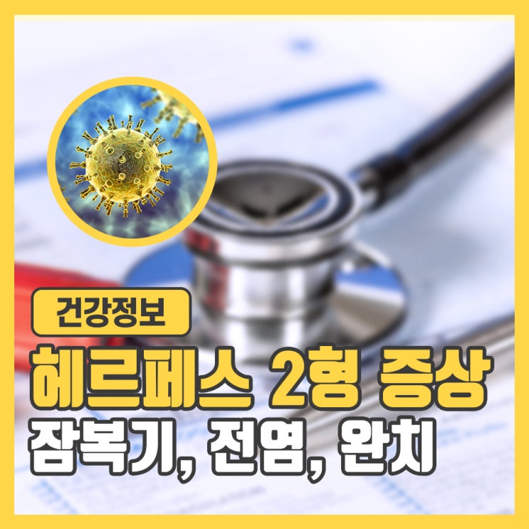헤르페스 2형 증상 잠복기 전염 완치 알아봅시다 네이버 블로그