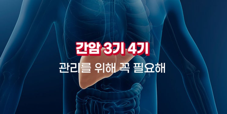 간암 3기 4기 증상 원인 초기증상 이런 증상을 조심하세요 네이버 블로그