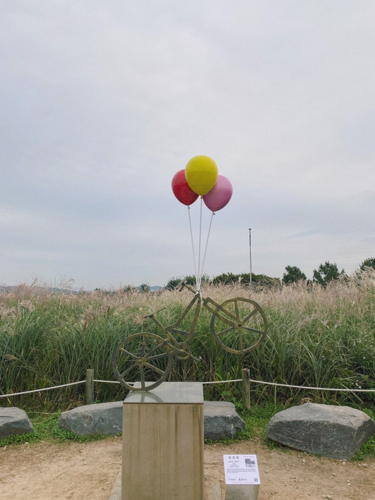 상암 하늘공원 억새축제랑 서울정원박람회로 가을 데이트 고고고 🍂 네이버 블로그