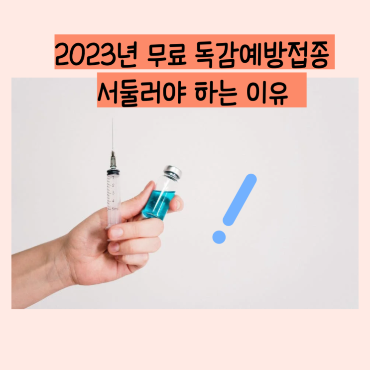 2023년 독감접종 시기 독감무료접종 나이 어르신 어린이 임산부 아기 독감 대상 네이버 블로그