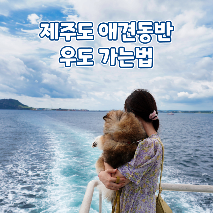 제주도 애견동반 우도 가는법 주차 및 선박요금 배 시간표 네이버 블로그