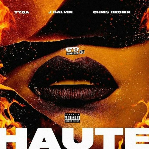 [고급지게 뜨겁게🔞] Haute (ft. Chris Brown & J Balvin) - Tyga 타이가 (가사/해석) : 네이버 블로그