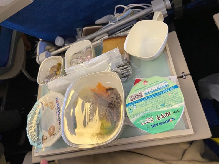대한항공 KE969 , KE902 ( 인천 프라하직항 , 파리 인천직항 ) 기내식 이용후기 : 네이버 블로그