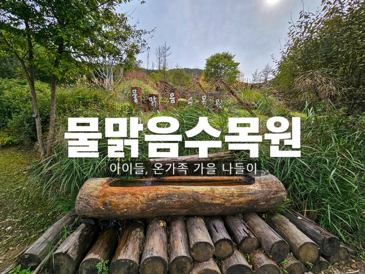 남양주 수동 물맑음수목원 아이들과 함께하기 좋은 곳 네이버 블로그