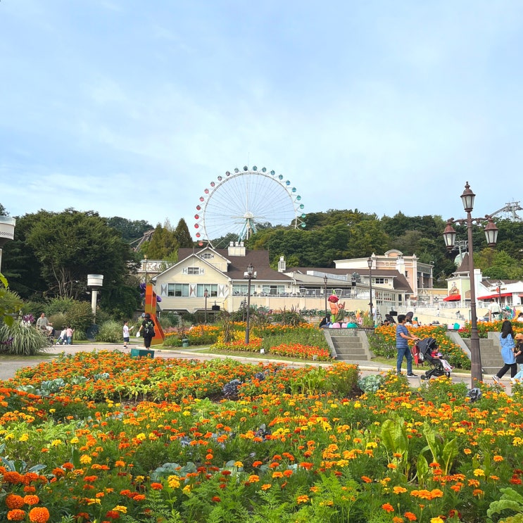용인 아기랑 갈만한곳 에버랜드 자유이용권 큐패스 가격 할인 스마트줄서기 예약 사파리 퍼레이드 네이버 블로그