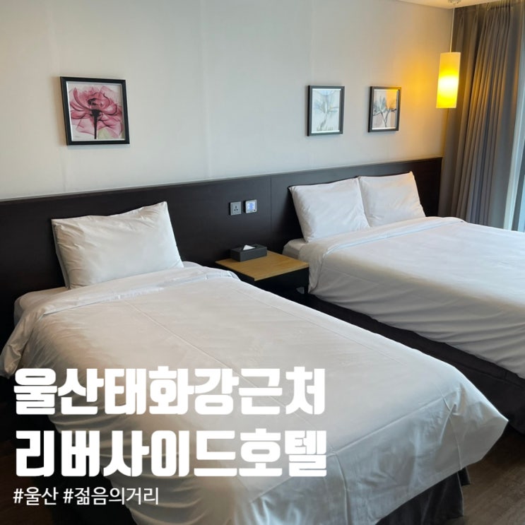 울산 호텔 리버사이드 태화강 근처 숙소 패밀리 트윈 가격 및 위치 내돈내산 방문 젊음의 거리 울산 큰애기 청년 야시장 구경 방문