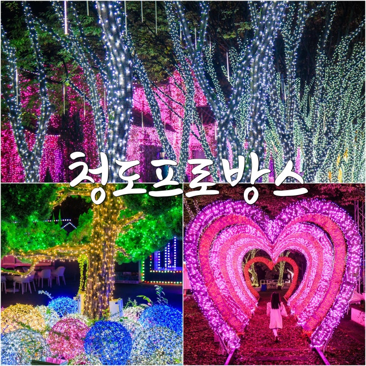 청도 프로방스 아이와 가볼만한곳 청도 여행 테마파크 빛 축제 네이버 블로그