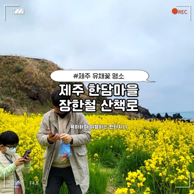 제주 한담마을 장한철 산책로 유채꽃 명소 제주 유채꽃 시기 정보 네이버 블로그