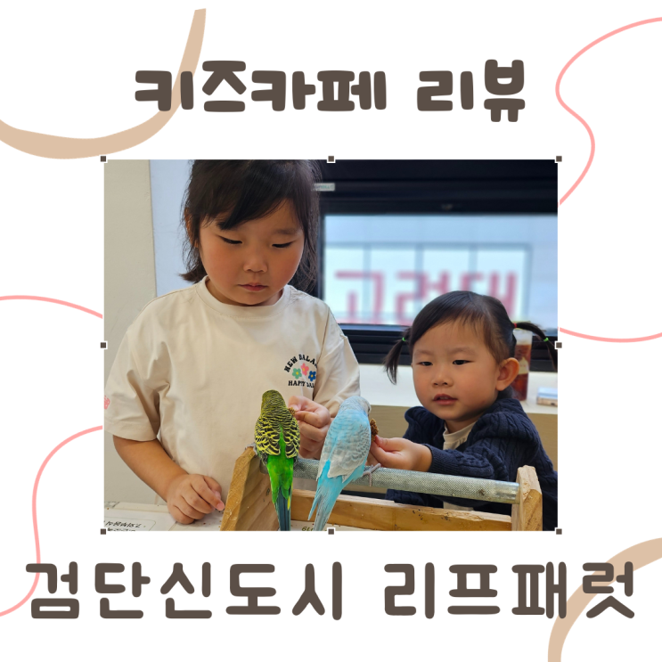 인천앵무새 카페 리프패럿 검단신도시점 검단신도시 키즈카페로 아이와 함께 네이버 블로그