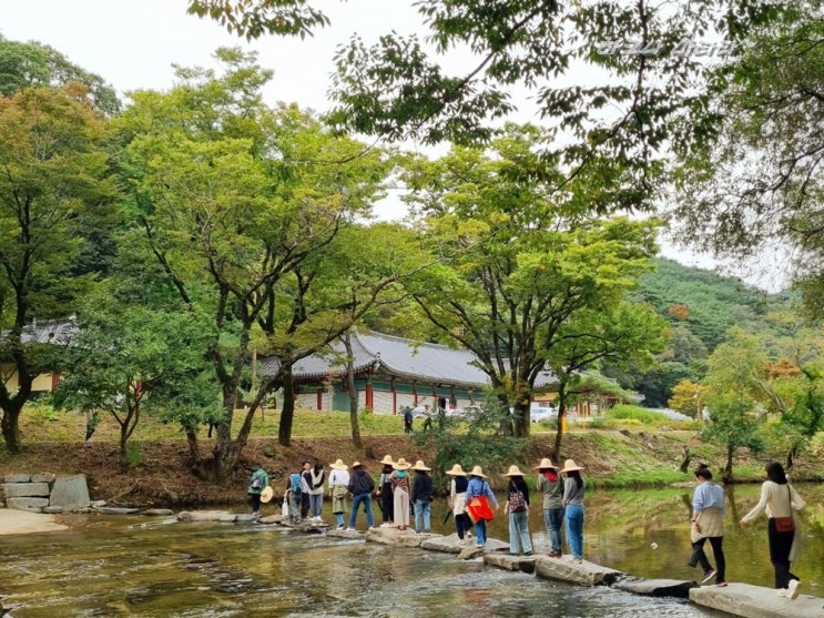 충남 공주 가볼만한곳 세계문화유산 마곡사 백범 명상길 유유자적 트레킹 가을여행 네이버 블로그