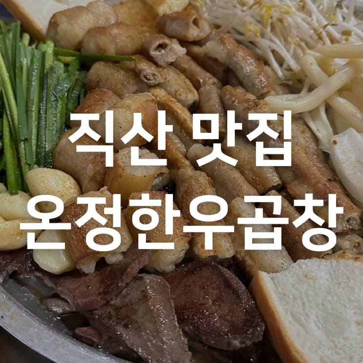 천안 직산 곱창 맛집 온정한우곱창 먹기 편한 맛있는 곱창 네이버 블로그