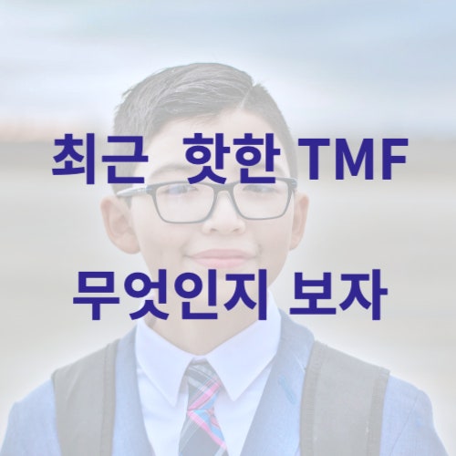 TMF ETF 뜻, 수수료 알아보자 (ft. 미국 국채 투자) : 네이버 블로그