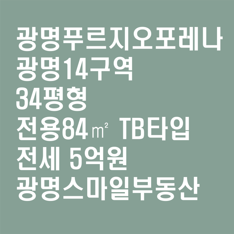 거래완료 광명뉴타운 14구역 전세 34평형 전용84㎡ Tb타입 전세 5억원 108동 고층 내부사진 내부영상 광명 신축아파트